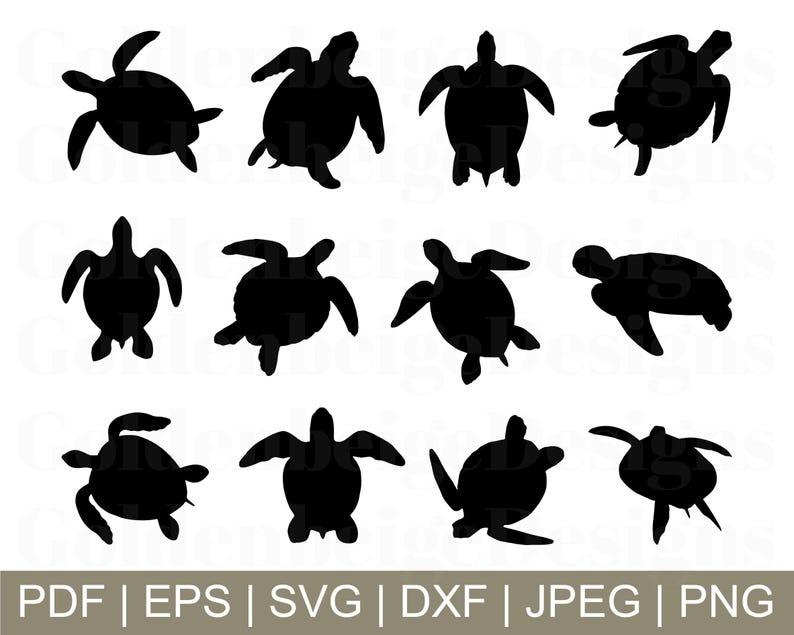Sea Turtle Svg, Sea Turtle Vector, Sea Turtle Silhouette, Sea Turtle ...