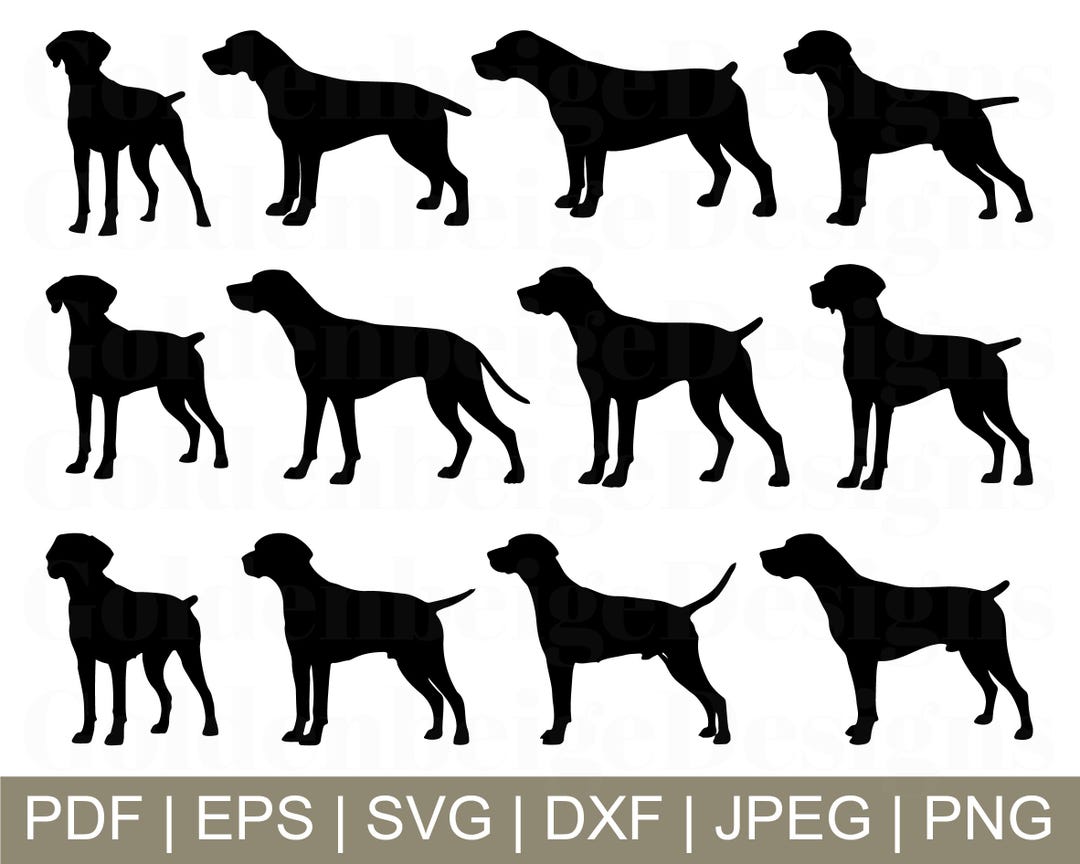 Pointer Dog Svg, Pointer Dog Vector, Pointer Dog Silhouette, Pointer ...