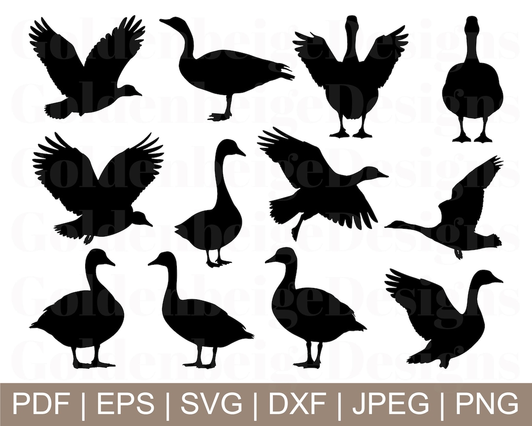 Canada Goose Svg, Canada Goose Vector, Canada Goose Silhouette, Goose ...