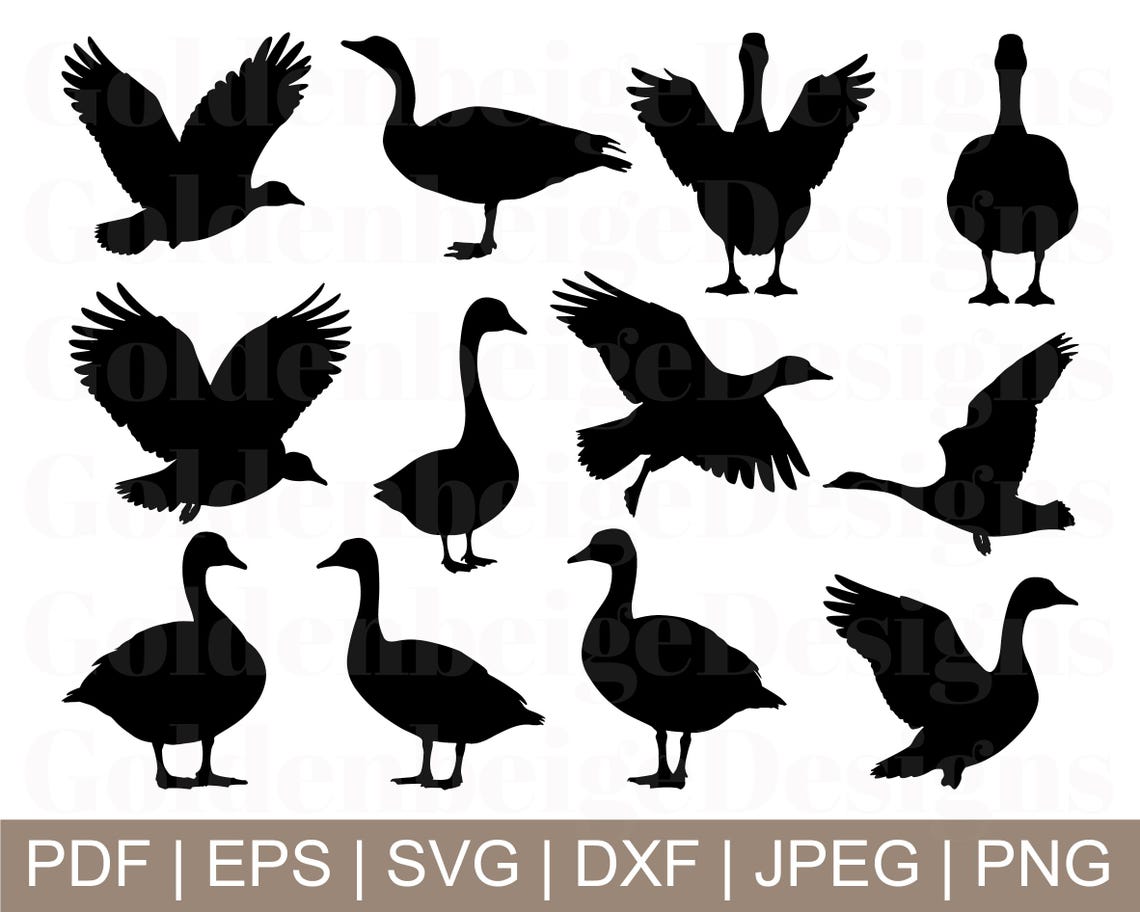 Canada Goose Svg, Canada Goose Vector, Canada Goose Silhouette, Goose ...