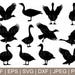 Canada Goose Svg, Canada Goose Vector, Canada Goose Silhouette, Goose ...