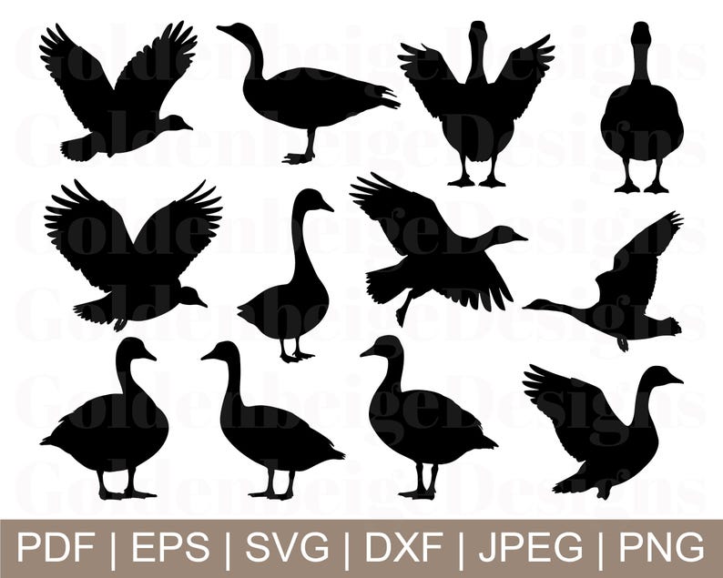 Canada Goose Svg, Canada Goose Vector, Canada Goose Silhouette, Goose ...
