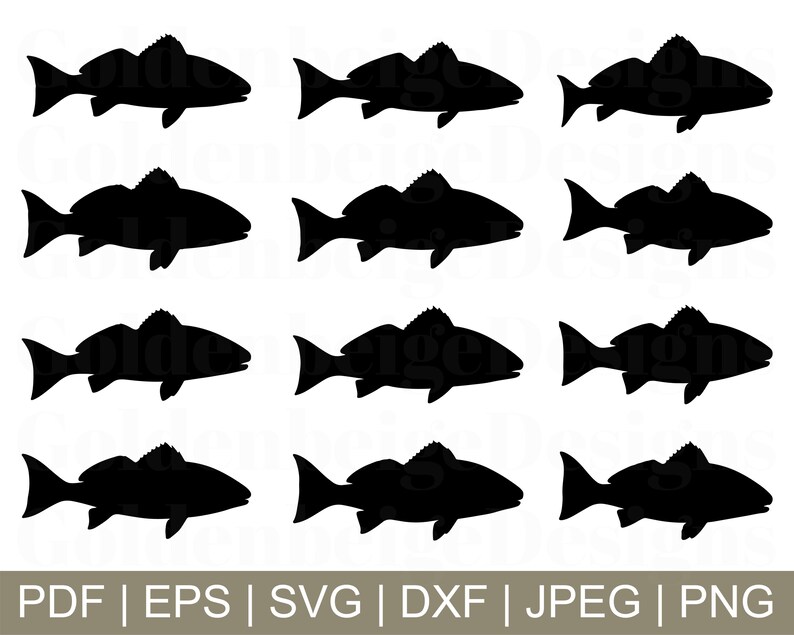 Red Drum Fish Svg, Red Drum Fish Silhouette, Red Drum Fish Vector, Red ...