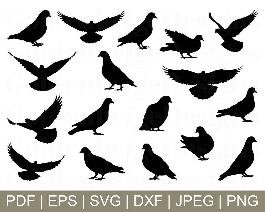 Pigeon Svg, Pigeon Vecto, Pigeon Silhouette, Pigeon Cut File, Pigeon ...