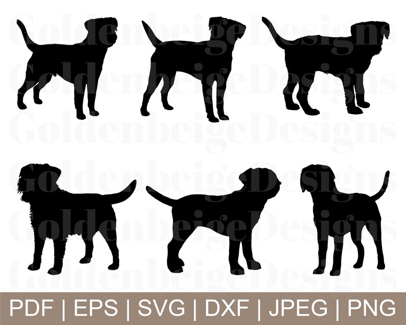 Border Terrier Dog Svg, Border Terrier Dogs Vector, Terrier Breed, Dog ...