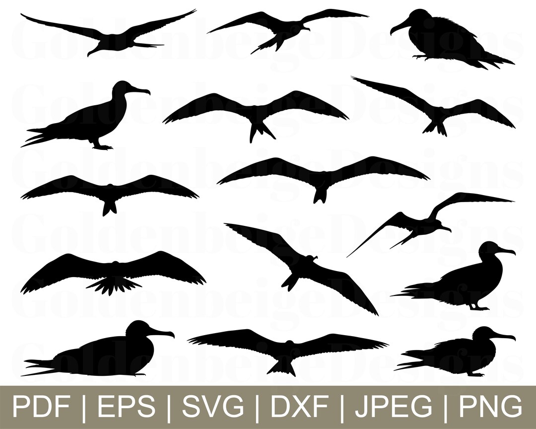 Frigate Birds Svg, Frigate Birds Cut File, Frigate Bird Silhouette ...
