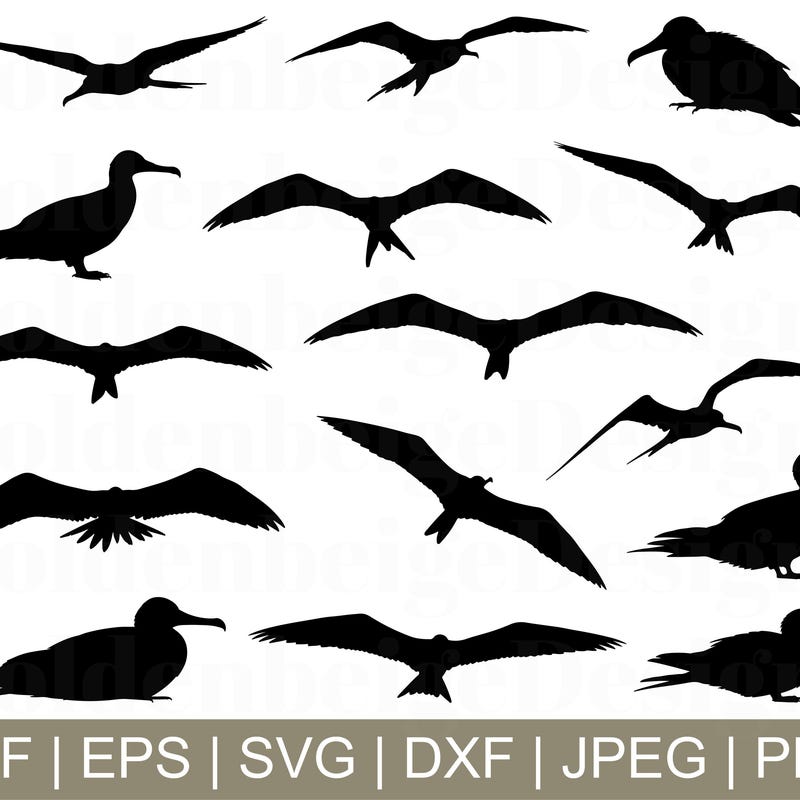Frigate Bird - Etsy