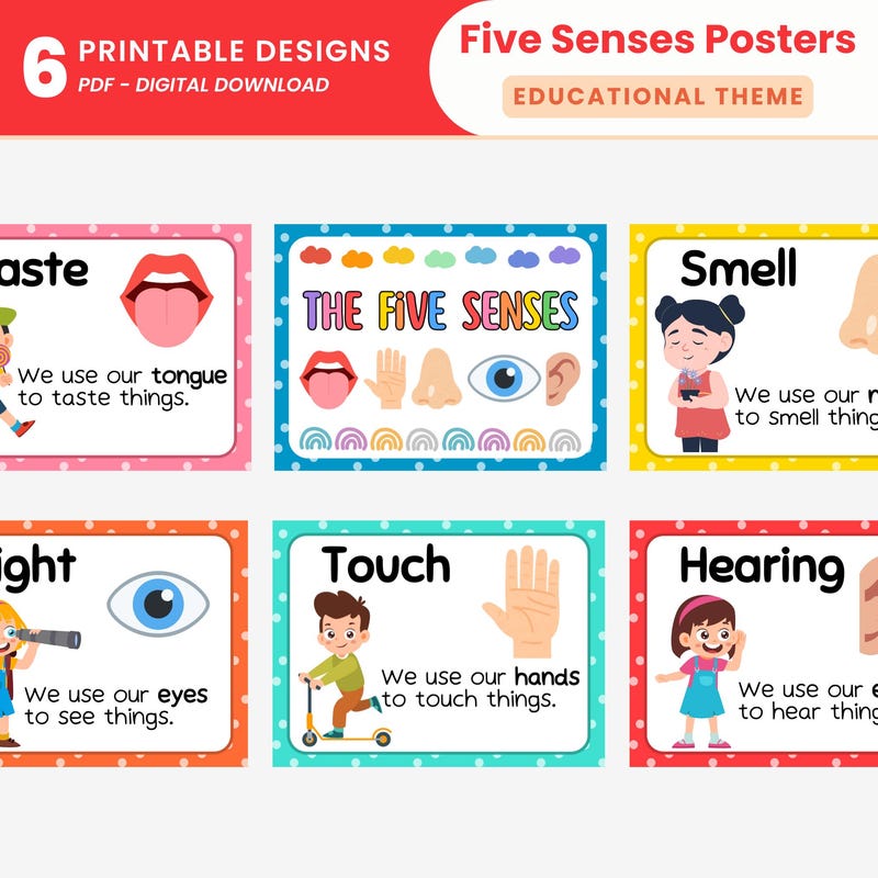 Five Senses Poster - Etsy