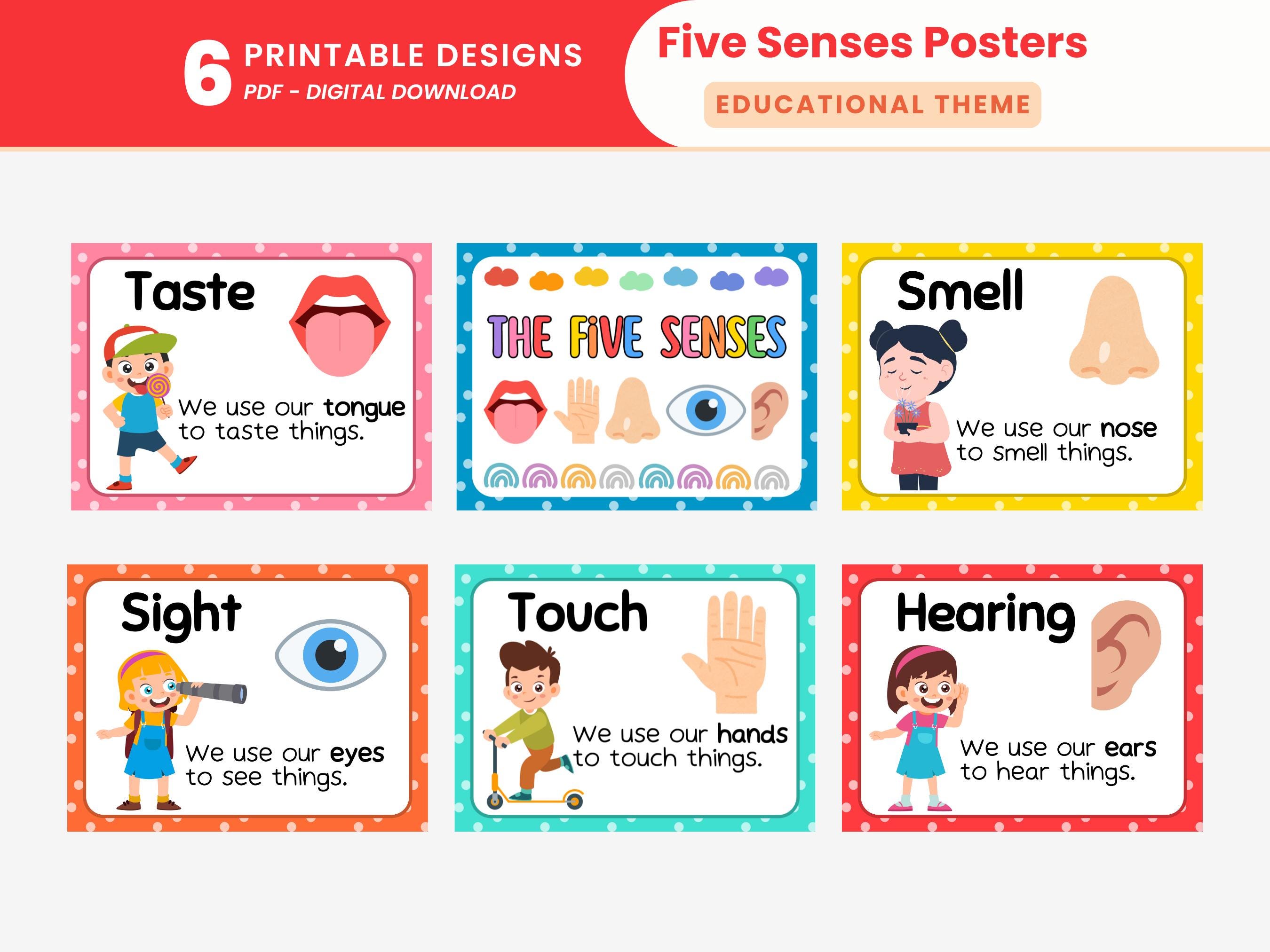 Educational Theme Five Senses Posters Printable Prek 5 Senses Grounding ...