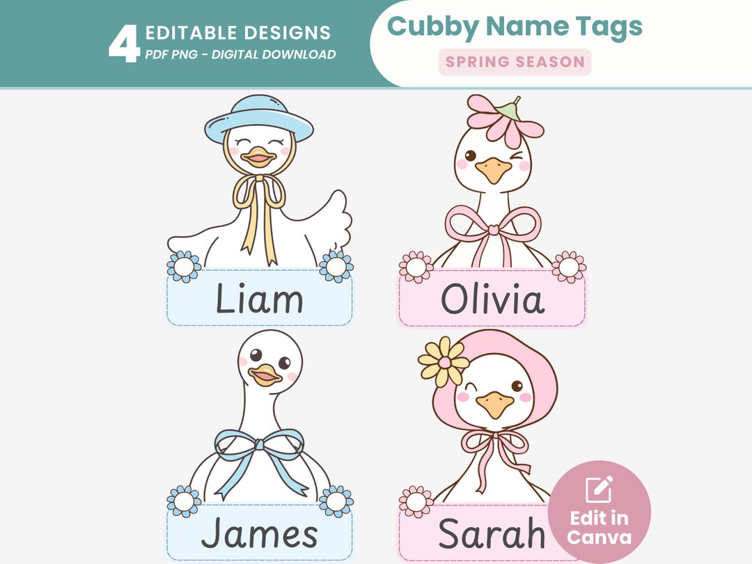 Spring Silly Goose Cubby Name Tags Editable Coquette Goose Student Name ...