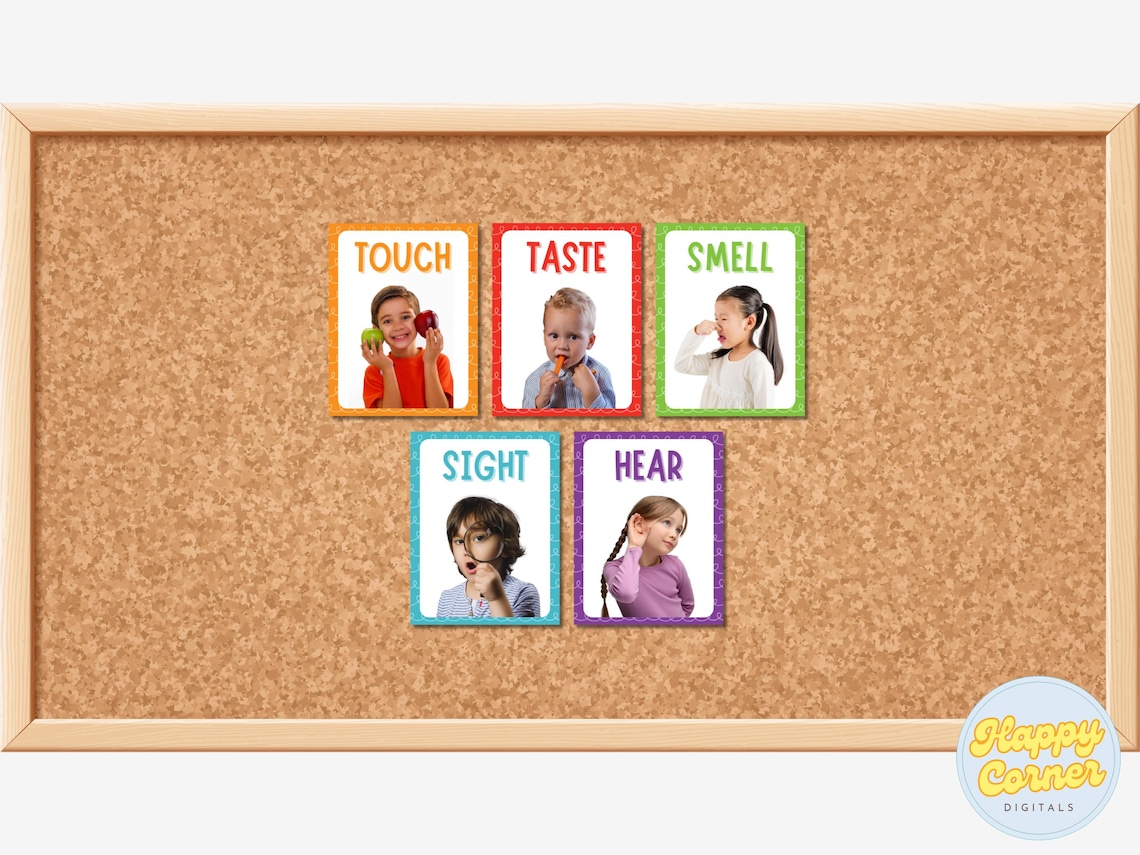 5 Senses Bright Posters With Real Kids Printable Five Senses Colorful ...