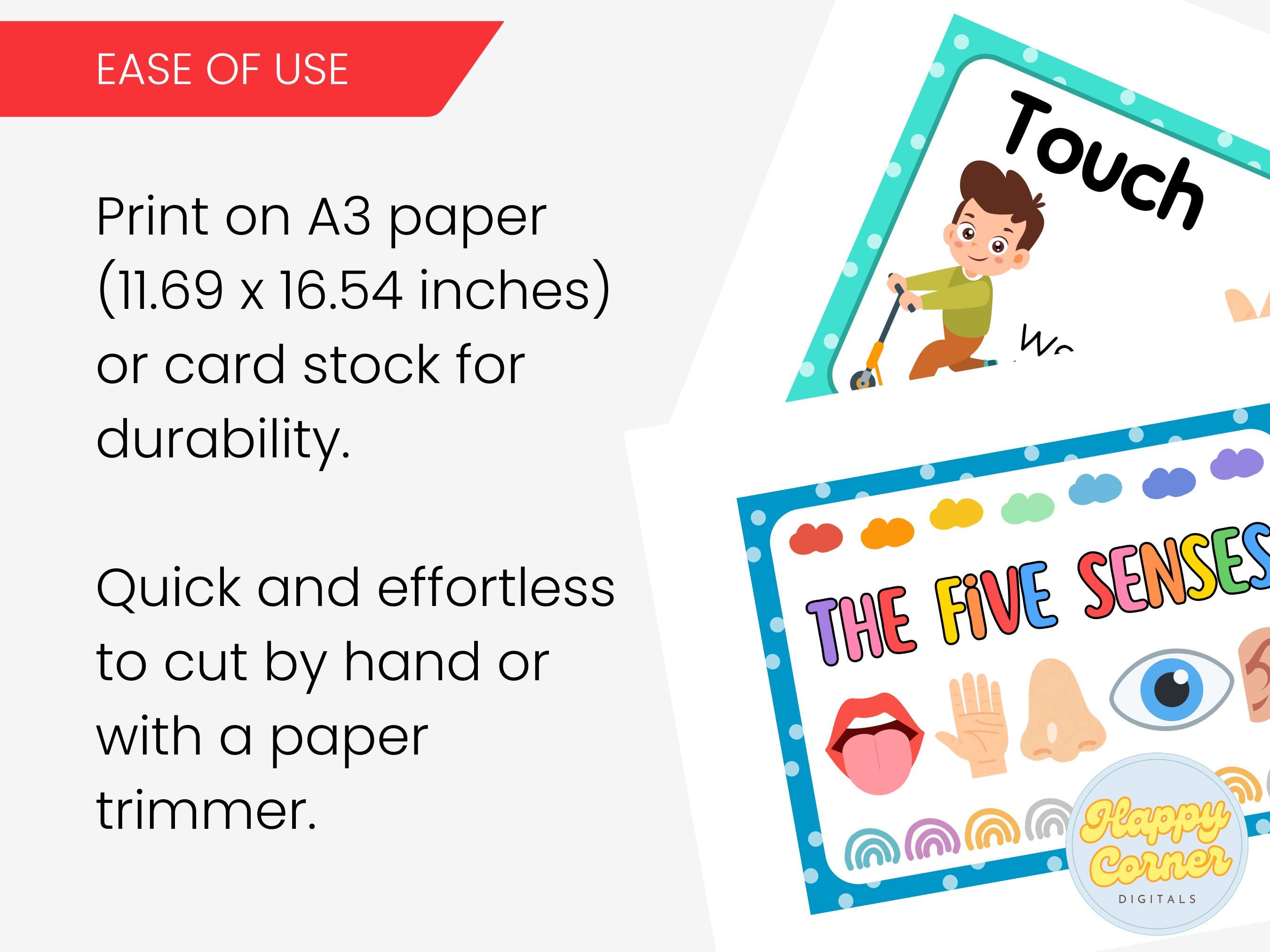 Educational Theme Five Senses Posters Printable Prek 5 Senses Grounding ...