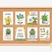 Classroom Posters Plants Botanical Nature Display Posters for Classroom ...
