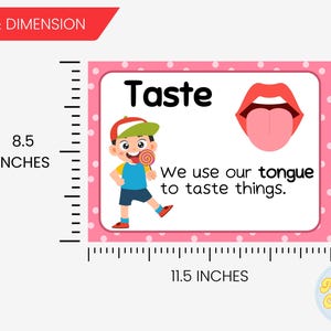 Educational Theme Five Senses Posters Printable Prek 5 Senses Grounding ...