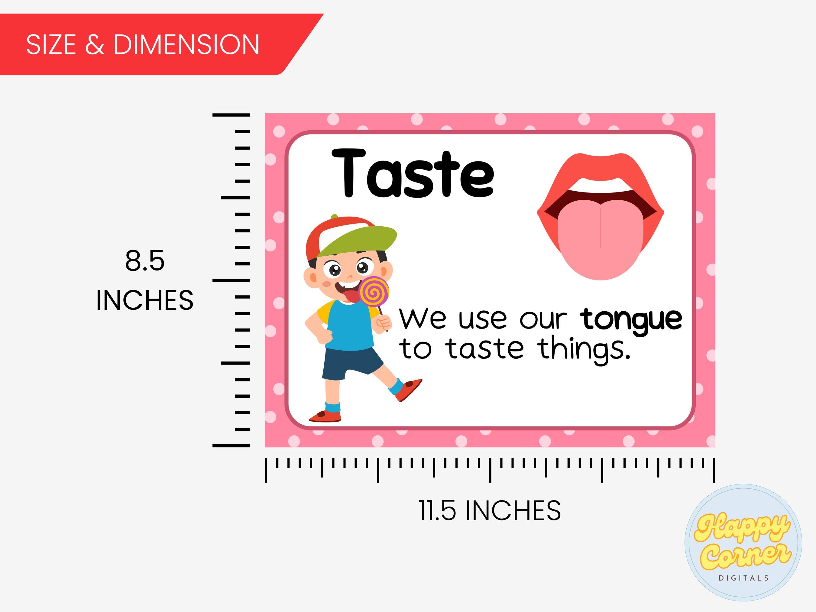 Educational Theme Five Senses Posters Printable Prek 5 Senses Grounding ...