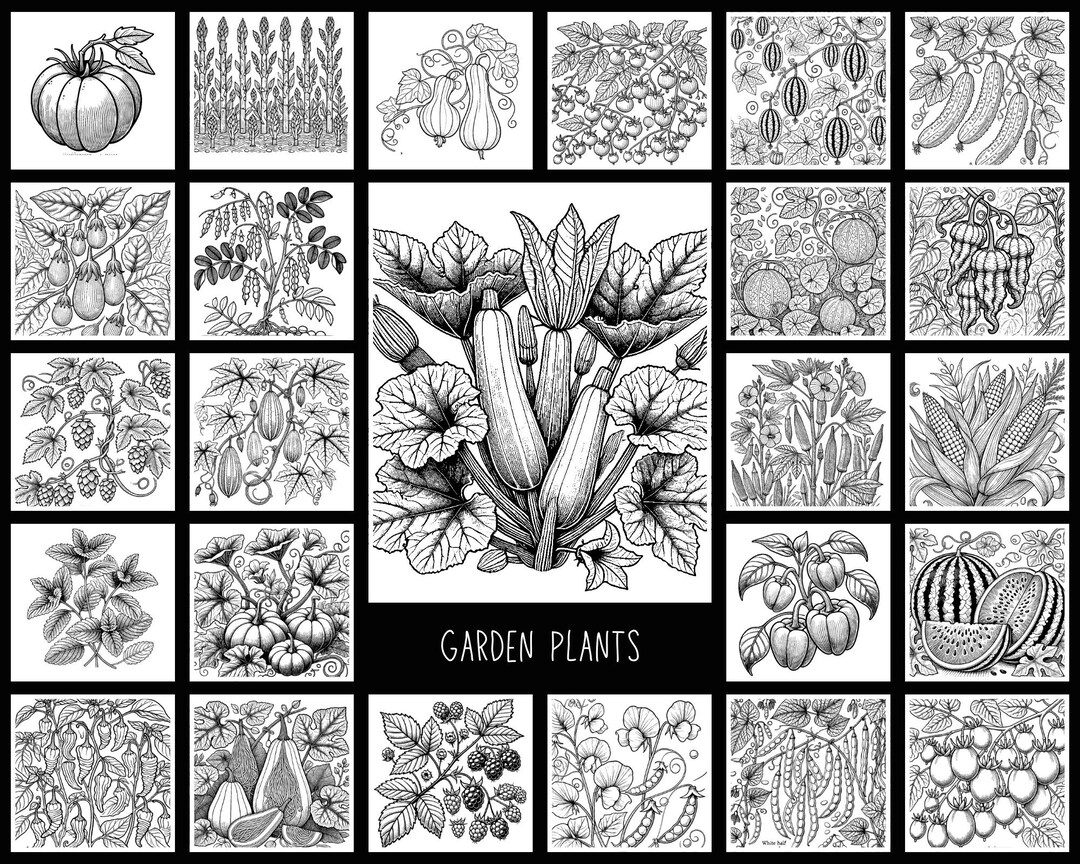 Garden Plants Coloring Book | Instant Digital Download | Printable Pdfs ...