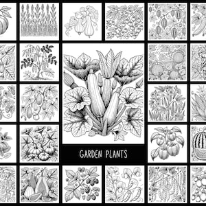 Garden Plants Coloring Book | Instant Digital Download | Printable Pdfs ...