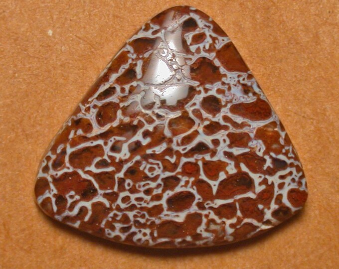 Lizard Skin Red Cell Utah Gem Fossil Dinosaur Bone Cabochon - Etsy