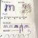 Letter M Spanish Phonics / Tracing / Letter Recognition / Fine Motor ...