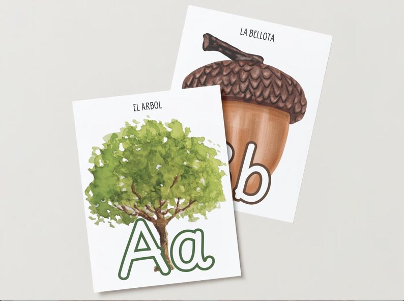 Spanish Classroom Alphabet / Nature Themed / 27 PAGES - Etsy