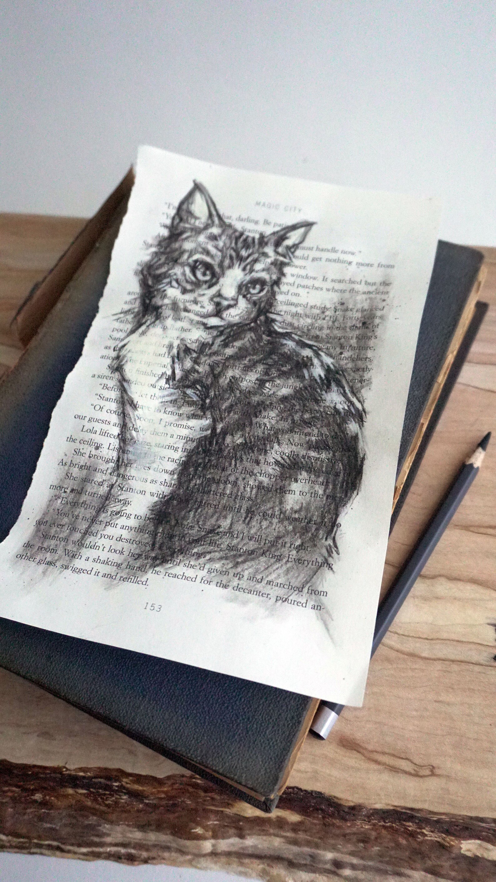 Original Charcoal Cat Portrait Charcoal Drawing Tabby Cat - Etsy