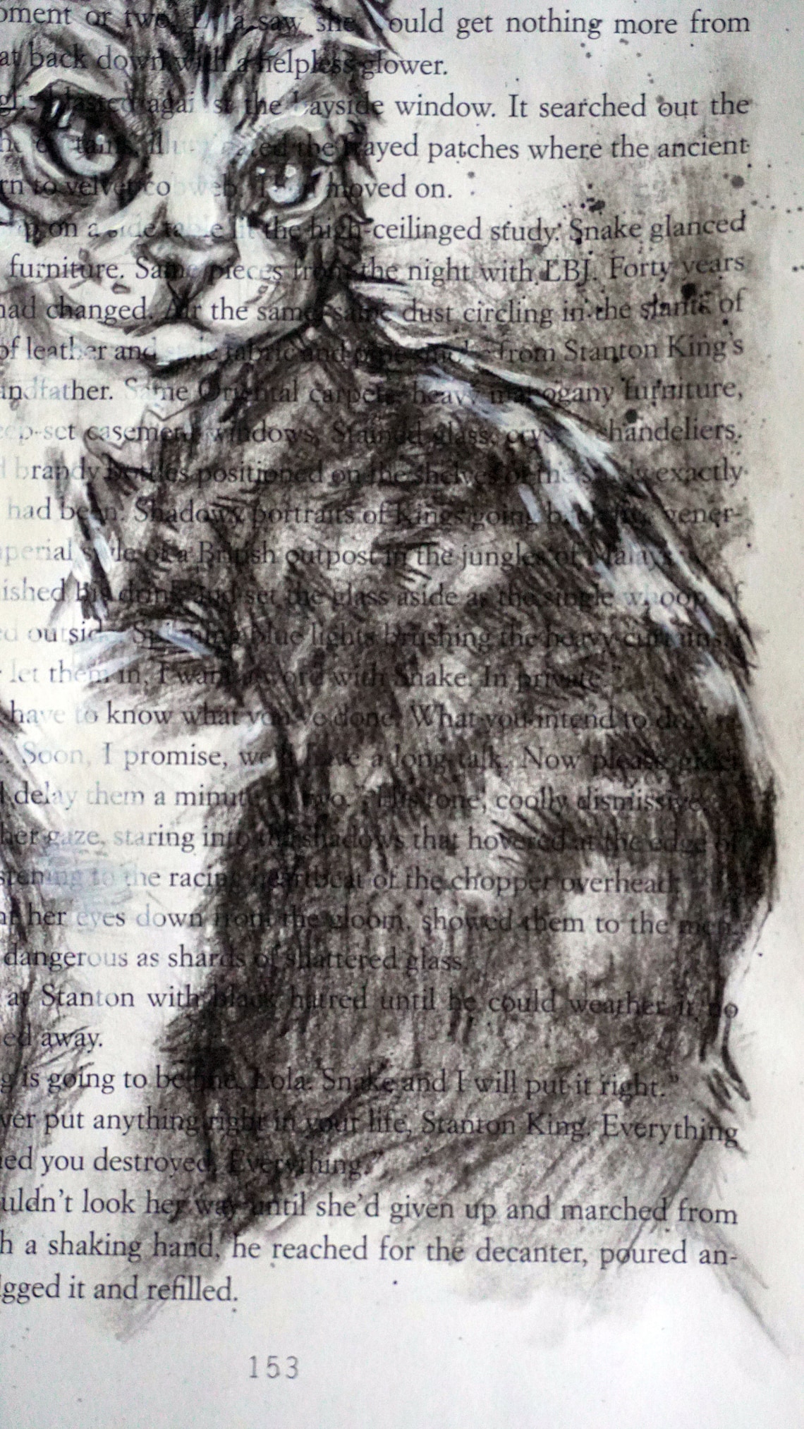 Original Charcoal Cat Portrait Charcoal Drawing Tabby Cat - Etsy
