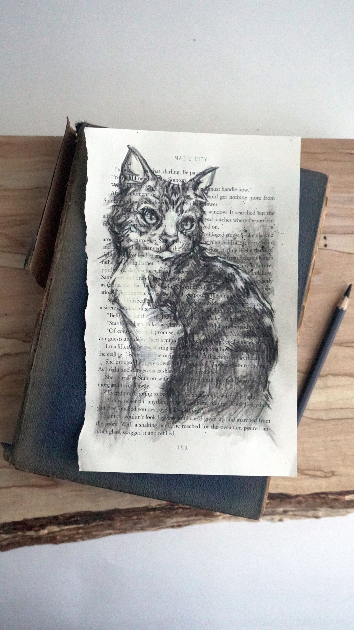 Original Charcoal Cat Portrait Charcoal Drawing Tabby Cat - Etsy