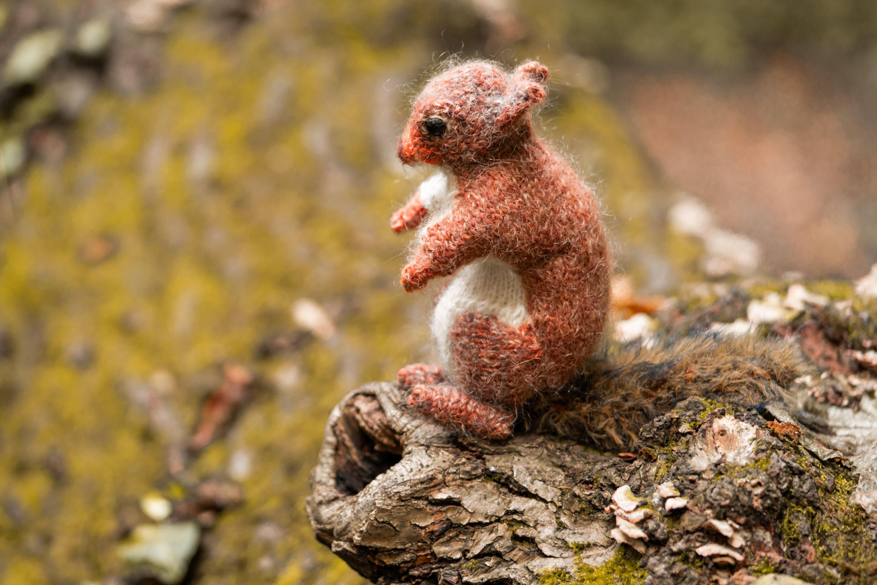 Knitted Realistic Squirrel - Etsy