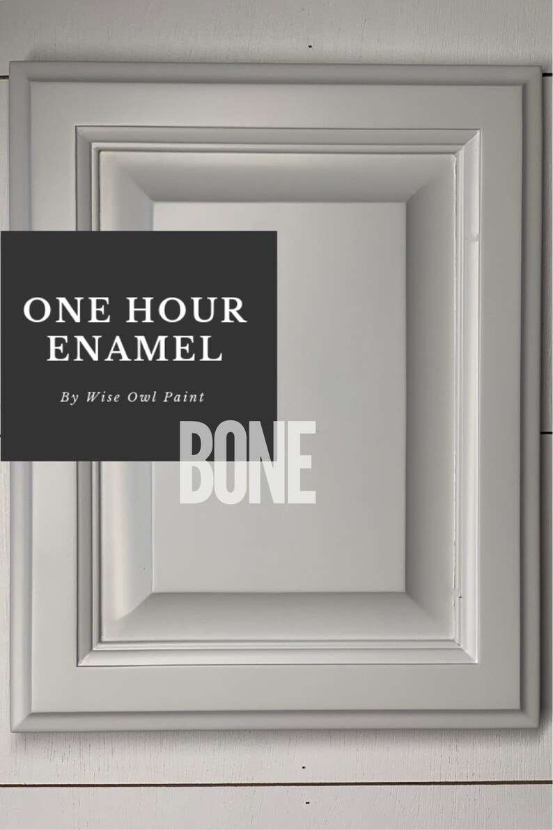 Bone light Gray Wise Owl One Hour Enamel Paint - Etsy