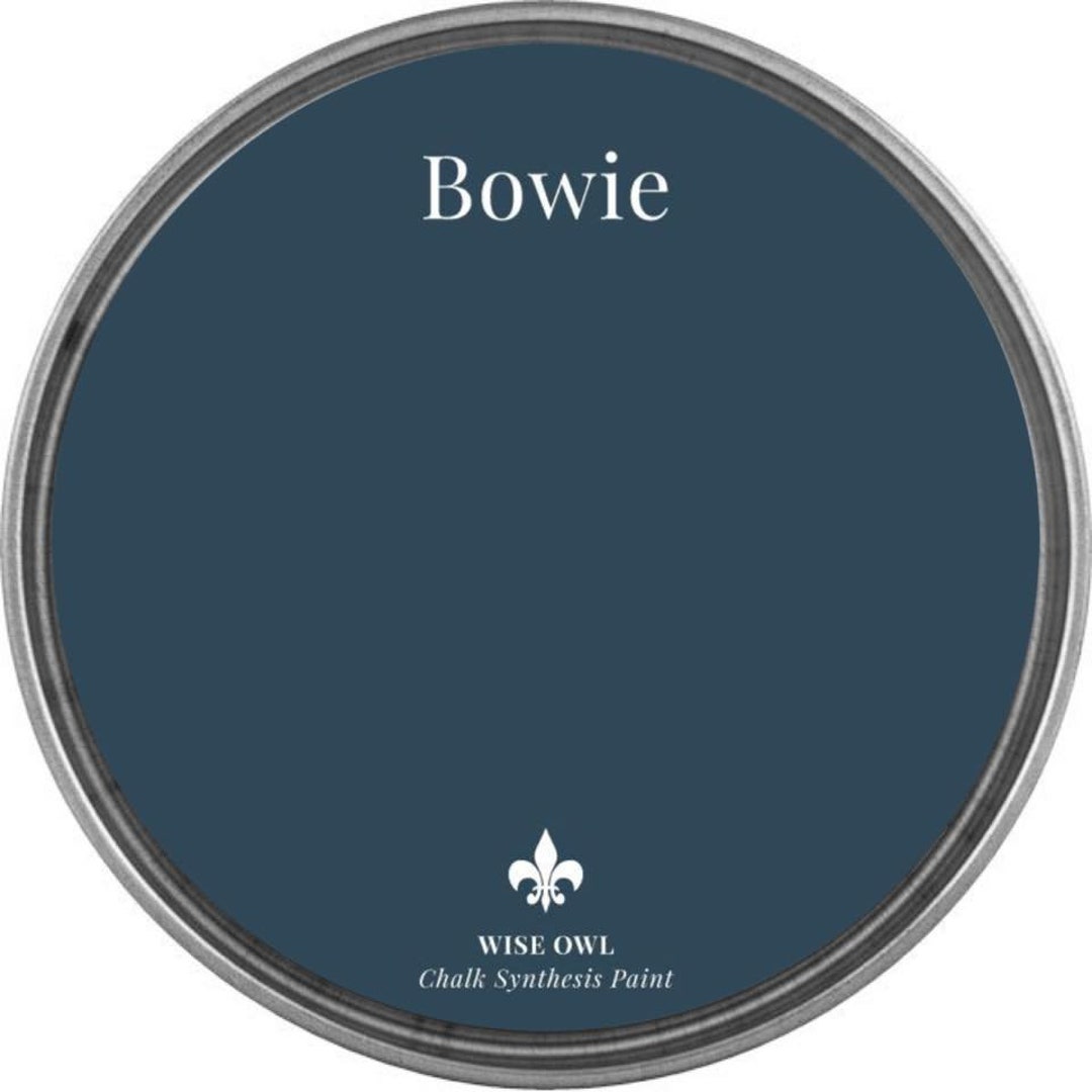Bowie peacock Navy Blue Wise Owl Chalk Synthesis Paint - Etsy