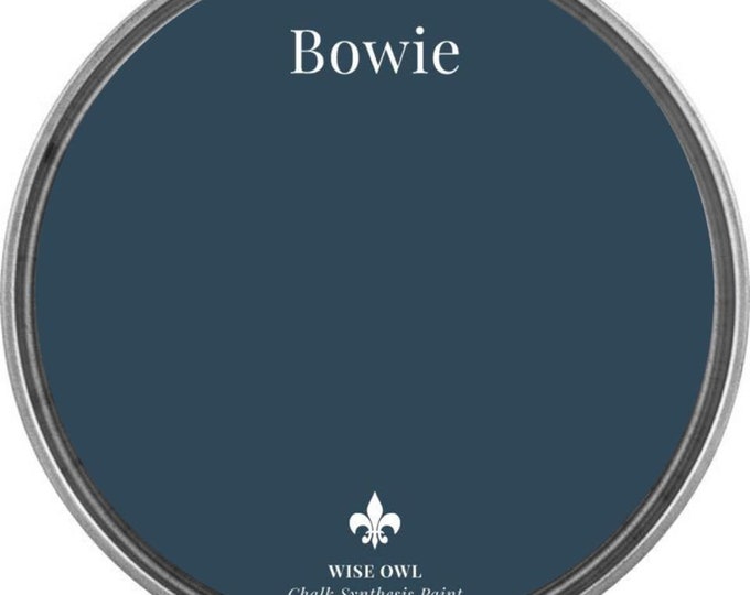 Bowie peacock Navy Blue Wise Owl Chalk Synthesis Paint - Etsy
