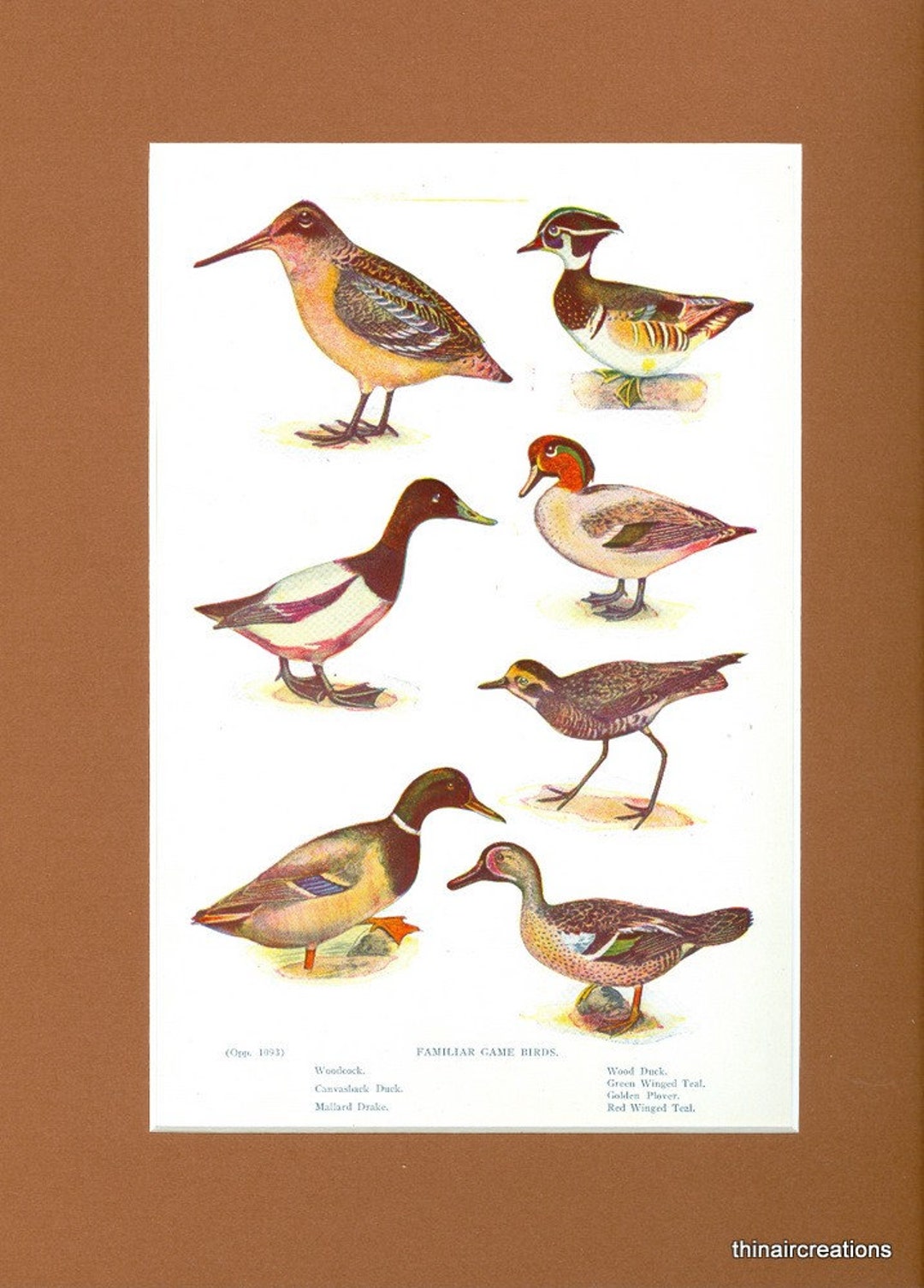 1932 Familiar Game Birds Vintage Print - Etsy