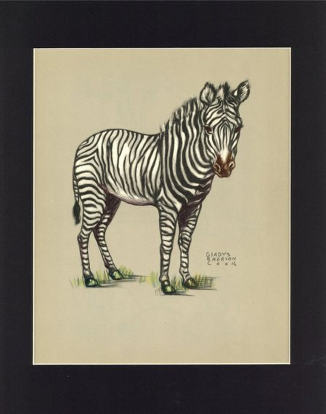 Adorable Zoo Friends Vintage 1943 Zebra Print by Gladys Emerson Cook - Etsy