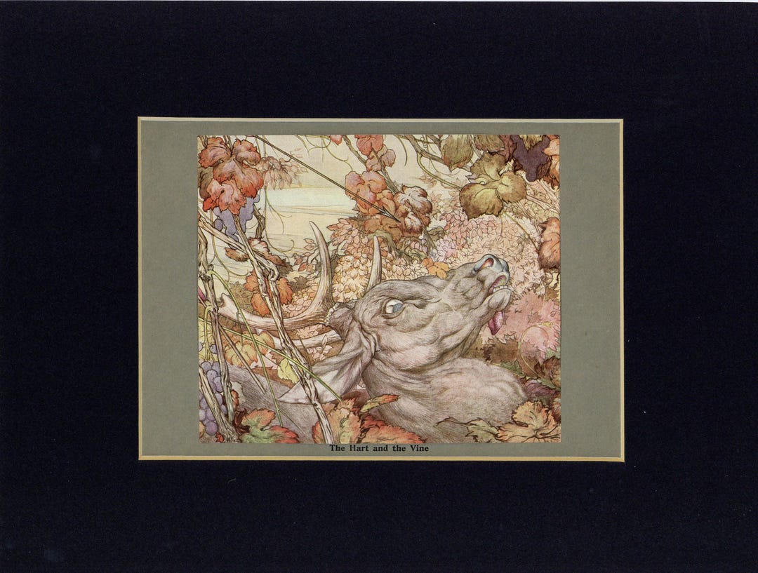 Antique Circa 1909 Aesop Print of the Hart and the Vine by Edward J ...