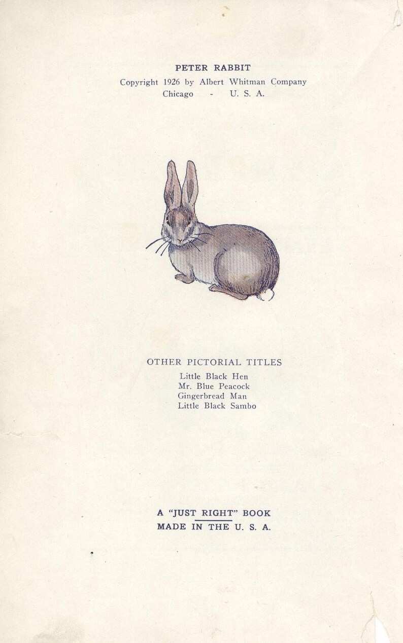 Vintage 1926 Peter Rabbit's Mother Original Book Illustration - Etsy