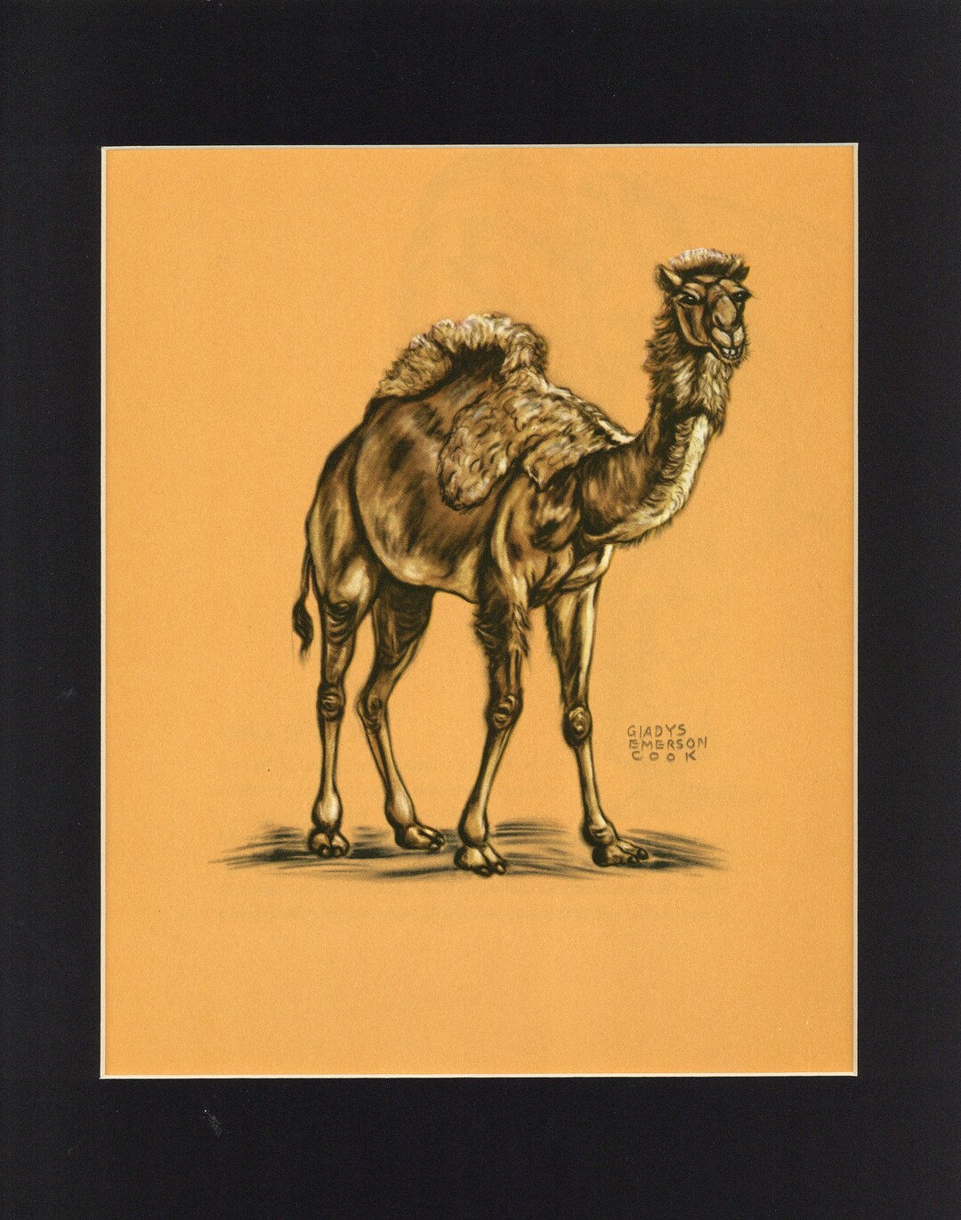 Adorable Zoo Friends Vintage 1943 Camel Print by Gladys Emerson Cook - Etsy