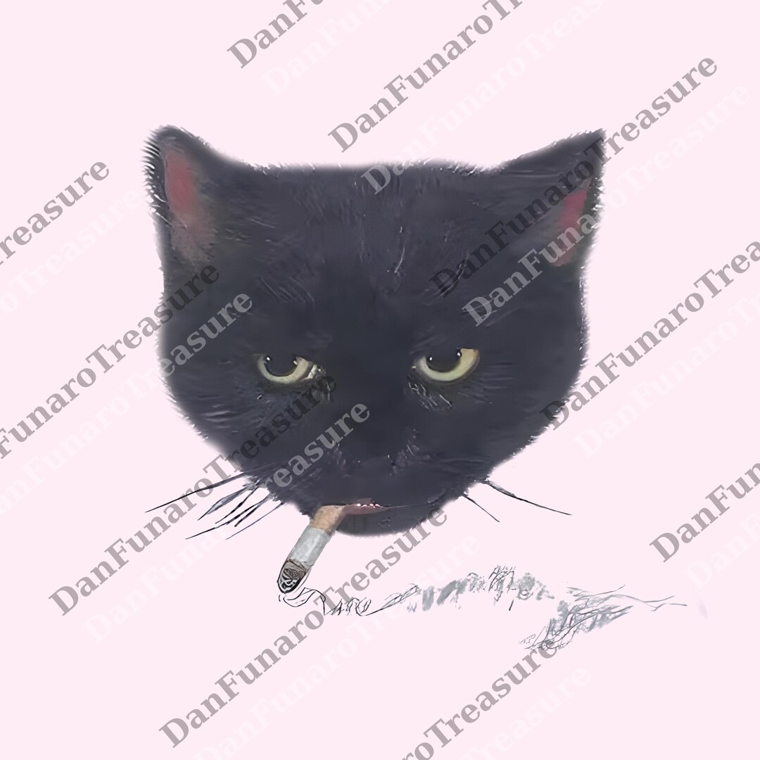 Funny Smoking Cat Meme Png, Cigarette Gen Z Joke Png, Stupid Brainrot ...