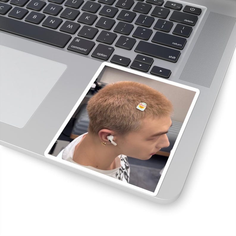 Stray Kids Hyunjin Kiwi Sticker - Etsy