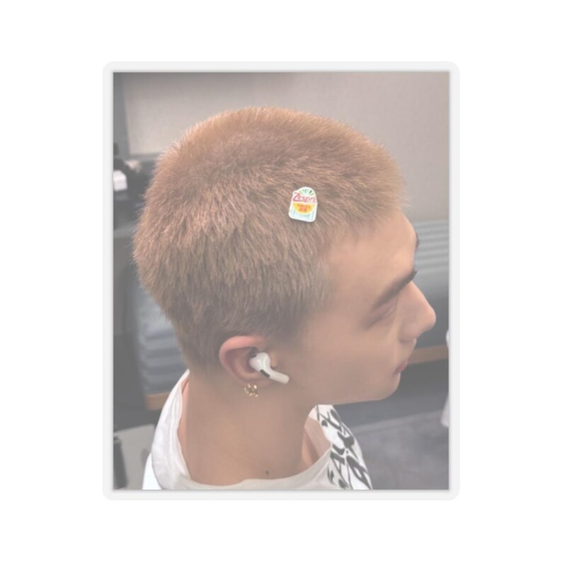 Stray Kids Hyunjin Kiwi Sticker - Etsy