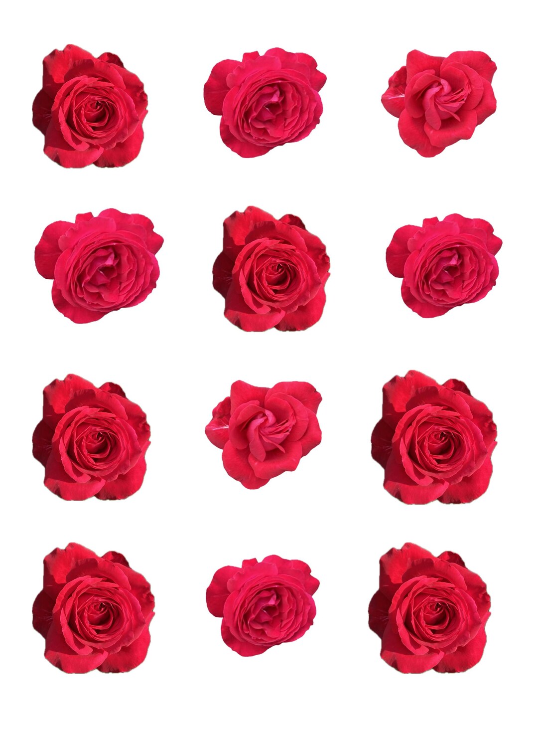 Twelve Red Roses Printable Stickers Digital Download - Etsy