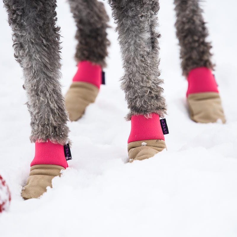 Dog Booties - Etsy