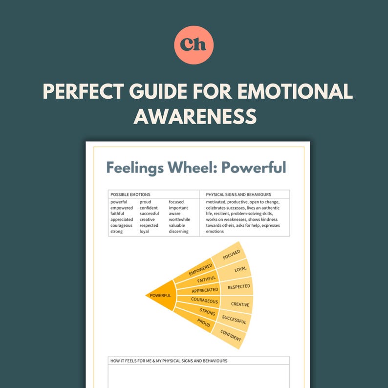 Feelings Wheel, Feelings Thermometer, Coping Skills, Feelings Scale ...