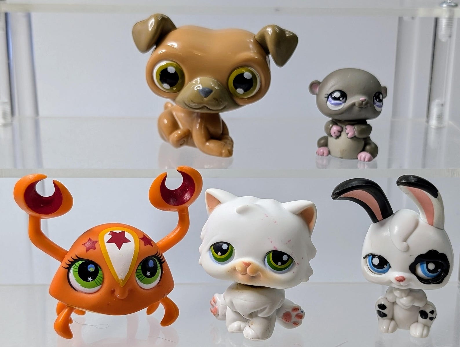 Hasbro - Littlest Pet Shop - LPS - Lot of 5 - Cat #15 - Rabbit #PP4 ...