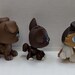 Hasbro Littlest Pet Shop LPS Pack of 5 Boxer 83, Blond Boxer 235 ...