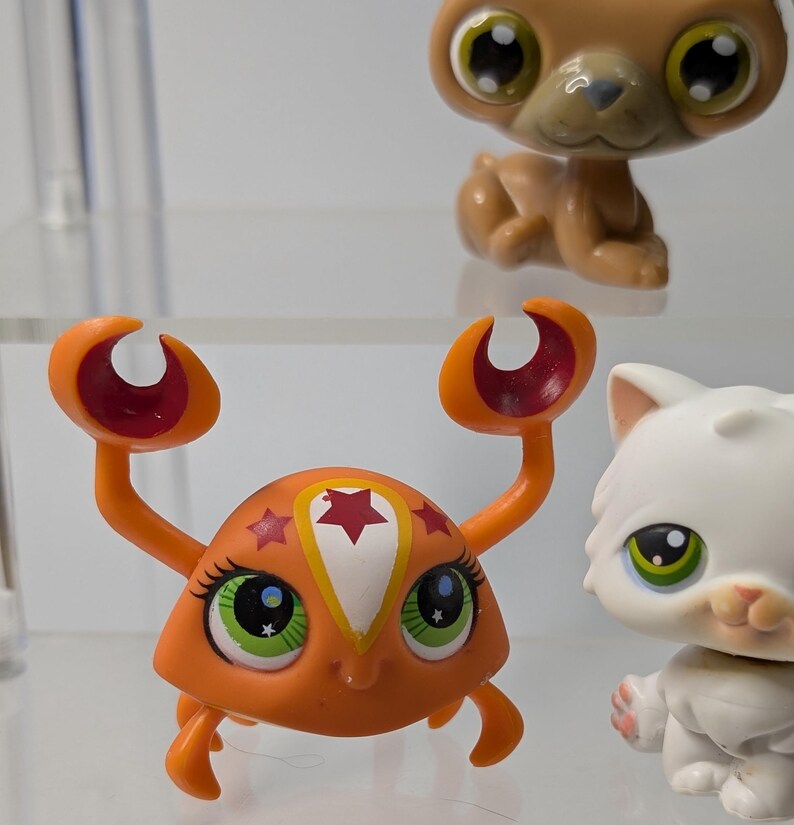 Hasbro - Littlest Pet Shop - LPS - Lot of 5 - Cat #15 - Rabbit #PP4 ...