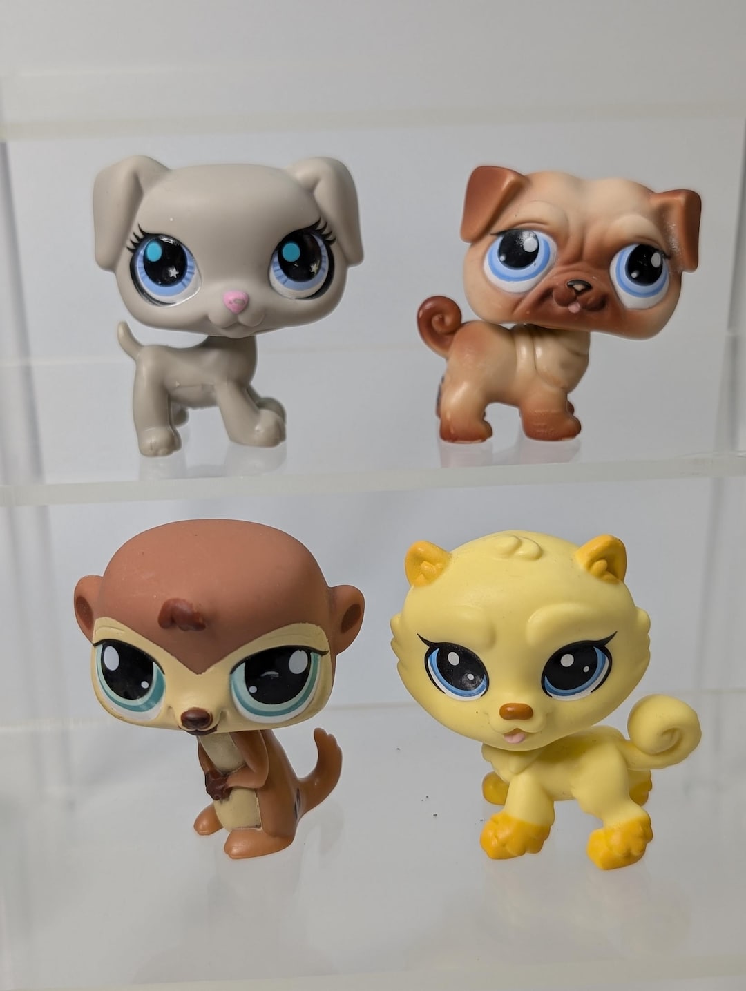 Hasbro - Littlest Pet Shop - LPS - #1313 Pug - Chow Chow - #2789 ...