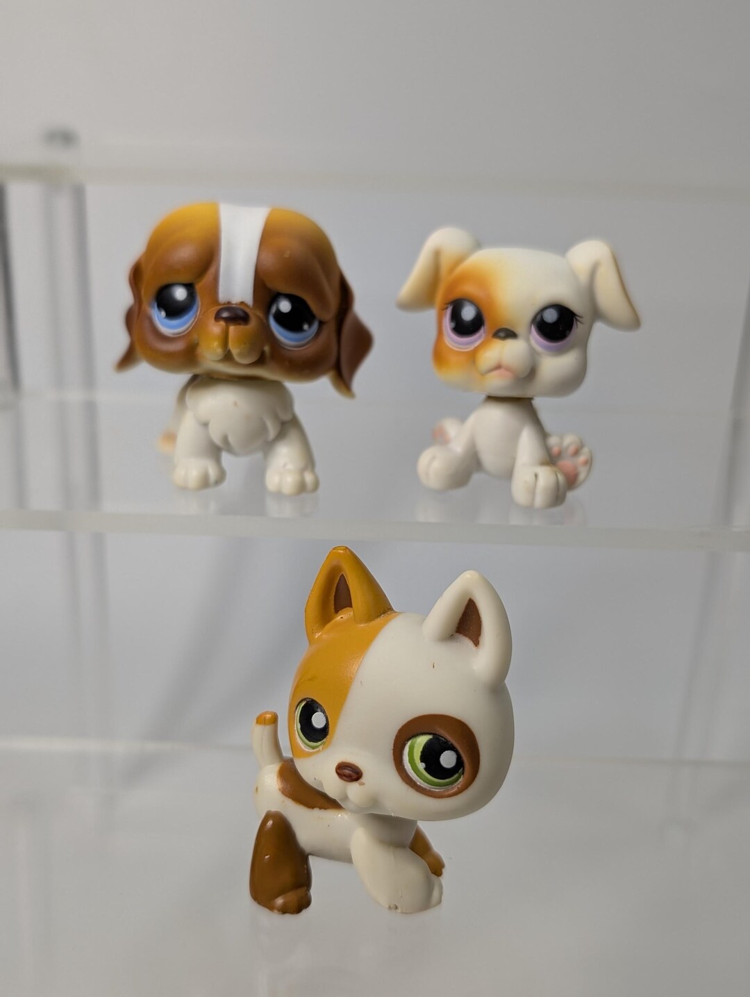 Hasbro - Littlest Pet Shop - LPS - Dogs #76 St-bernard - #84 Boxer ...