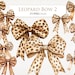 Leopard Beige Brown Bows Coquette Clipart Bundle. Watercolor ...