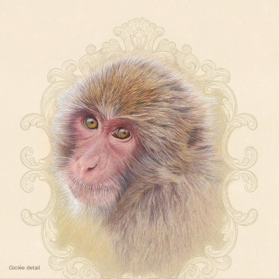 Print 'portrait of Snow Monkey'. Giclée Print on Heavy Weight Museum ...
