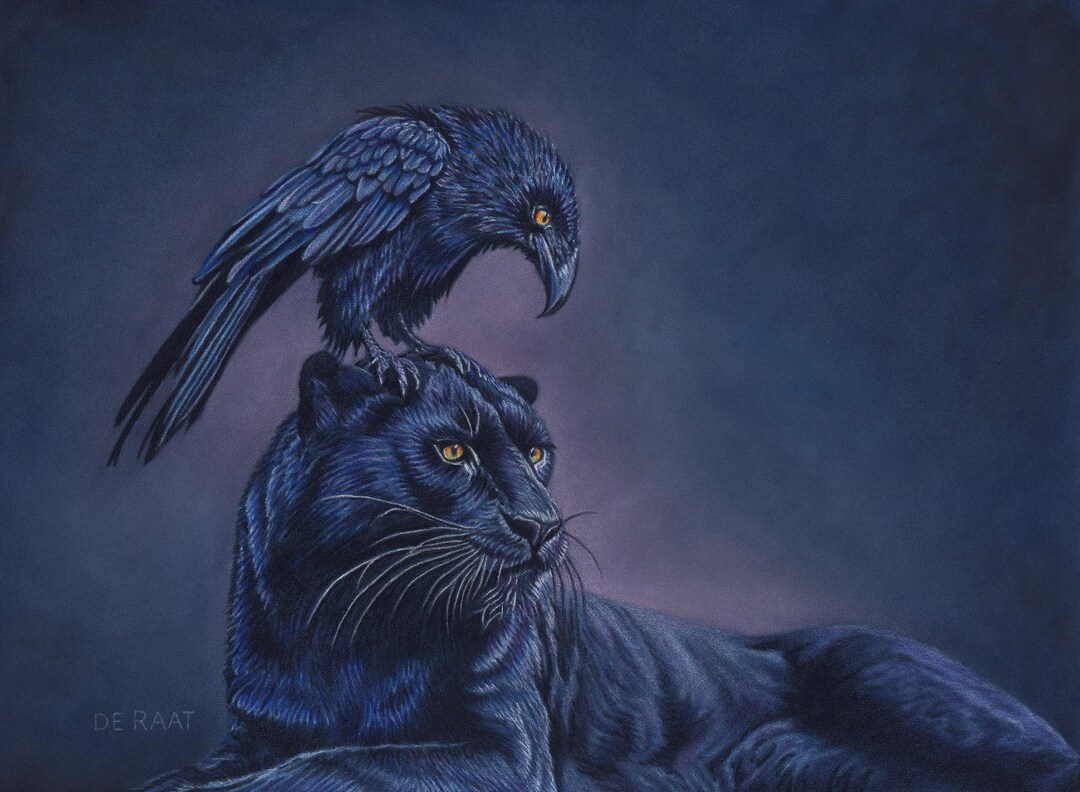 Panther X Raven. 15" X 11" Original Coloured Pencil Drawing on ...